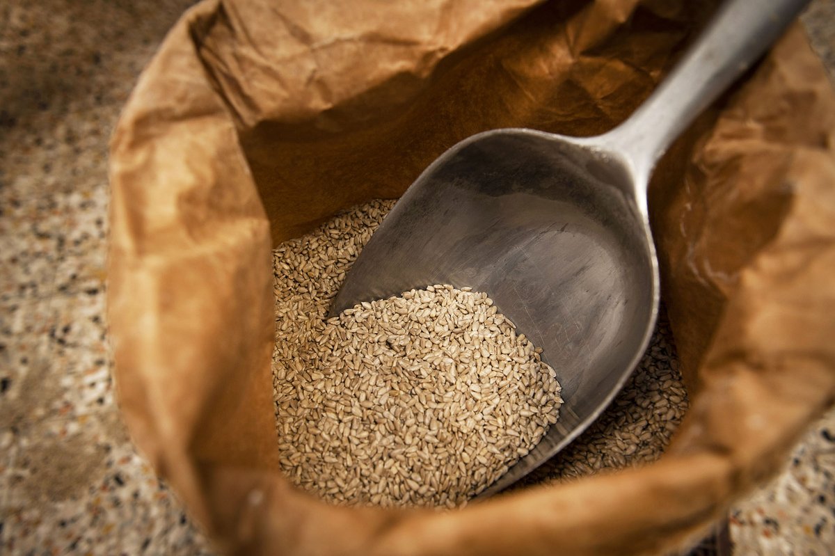 Haubis Bäckerlexikon zum Nachschlagen - Haubis